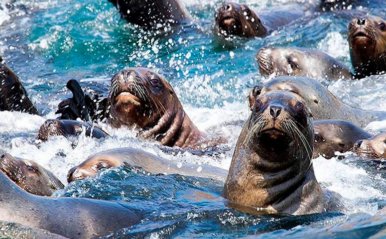 20 Pontos Turísticos em Lima: Locais para Visitar ¡Hoje!